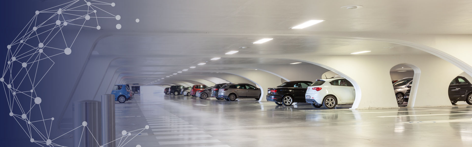 Car Reporting - Sure Services